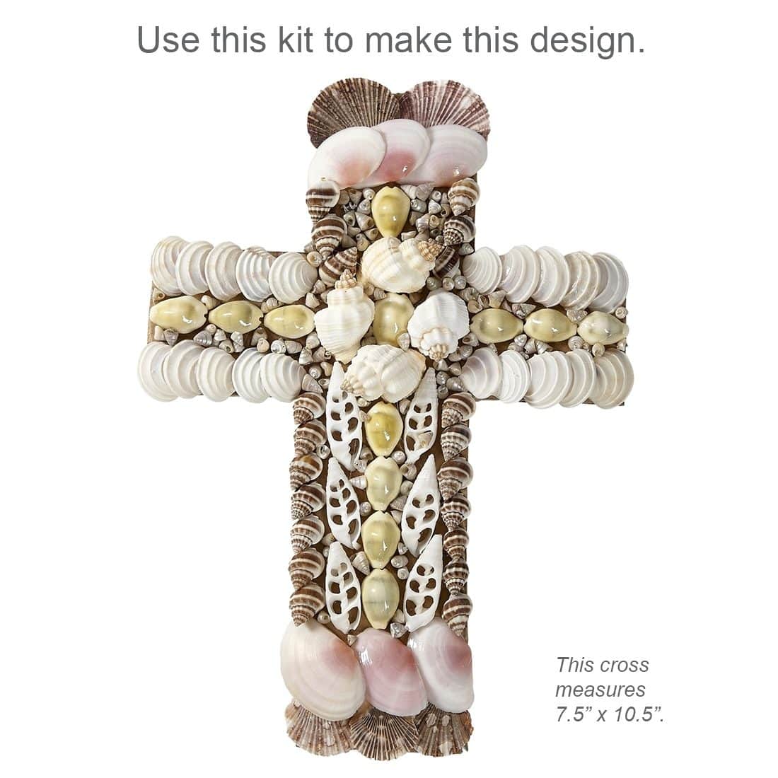 Shell Kit – Cowrie Collection | Coastal Decor Store