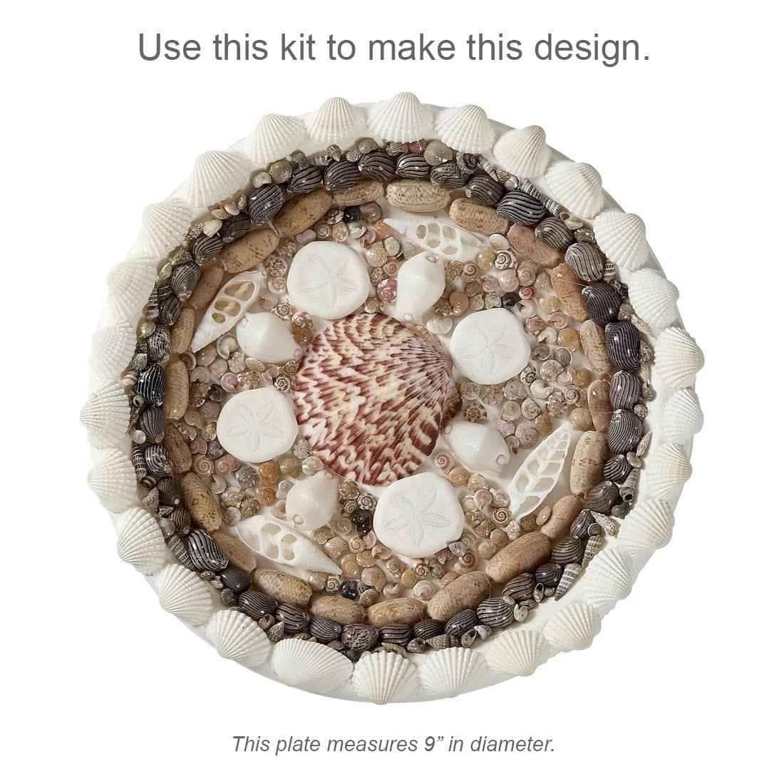Shell Kit – Scallop Collection | Coastal Decor Store